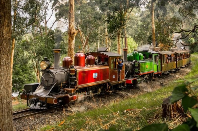 Dandenong Ranges Tour - Day Trip | Melbourne Private Tours